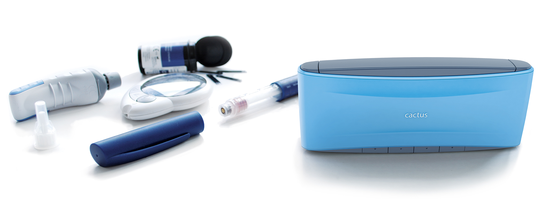 CACTUS A Daily Companion for Diabetics - Entwurfreich