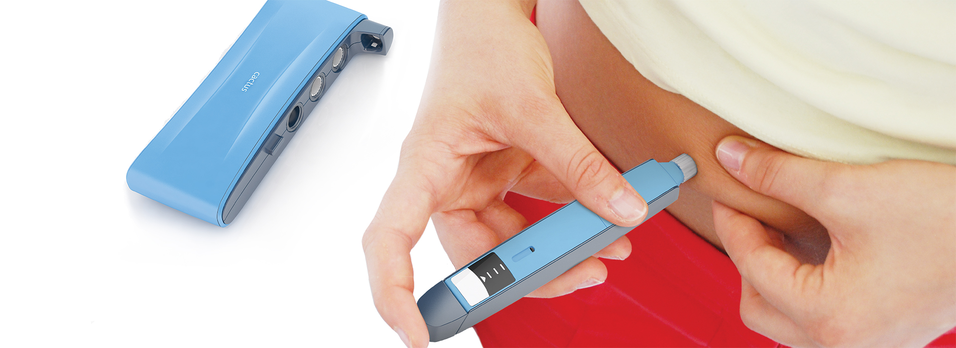 CACTUS A Daily Companion for Diabetics - Entwurfreich